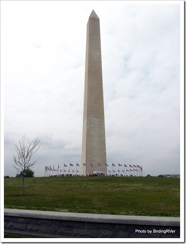 BirdingRVers: Washington DC – Part 2